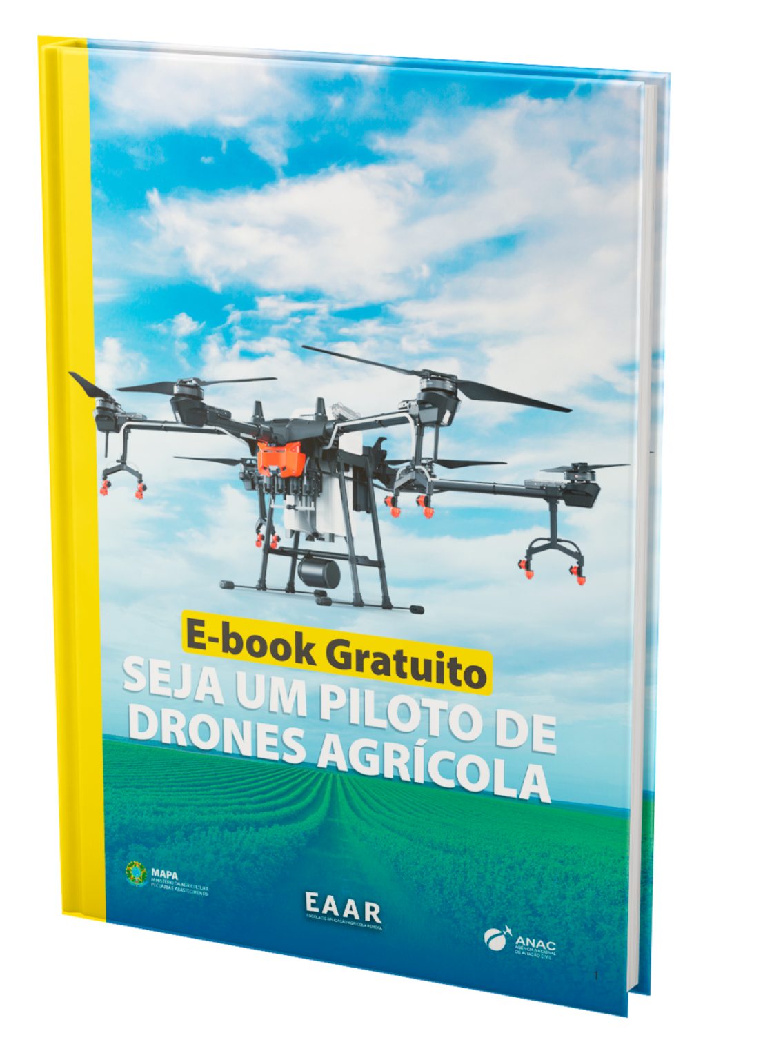 E-book - eaar.com.br